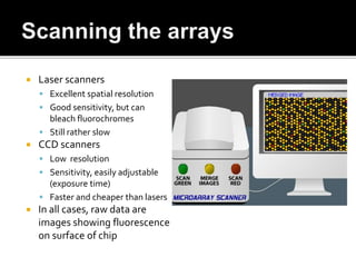 DNA microarray | PPTX