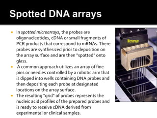 DNA microarray | PPTX