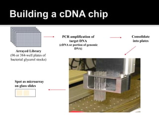 DNA microarray | PPTX