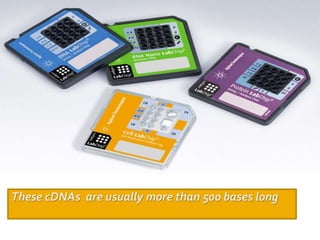 DNA microarray | PPTX