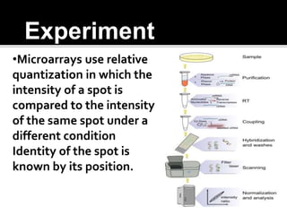 DNA microarray | PPTX