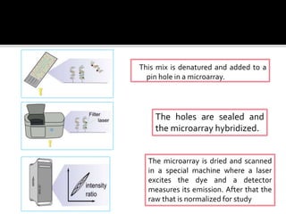 DNA microarray | PPTX