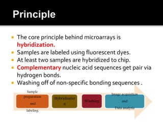 DNA microarray | PPTX