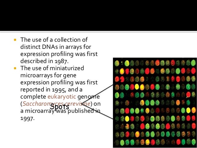 DNA microarray