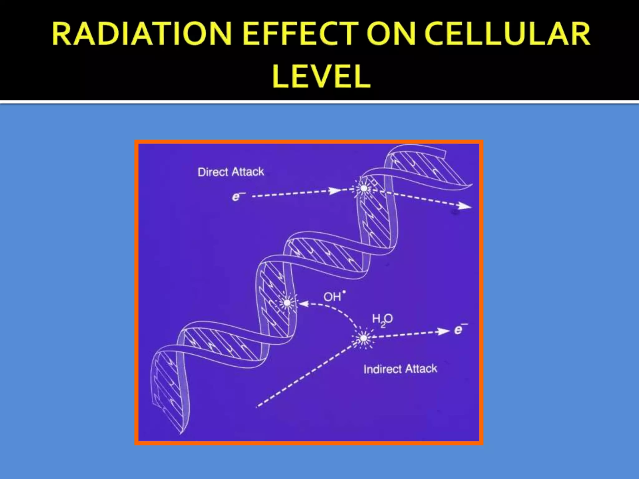 Basic Biological effects of Radiation | PPTX