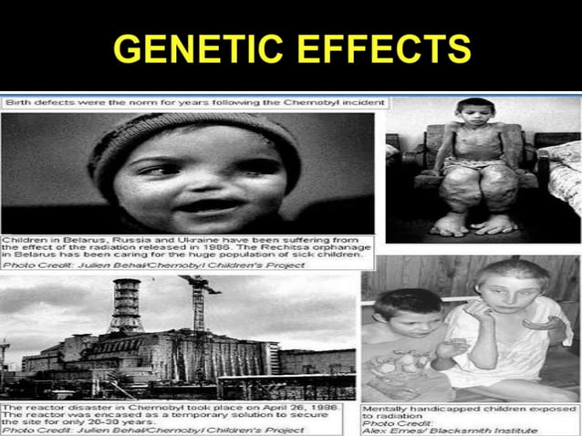 Basic Biological effects of Radiation | PPT