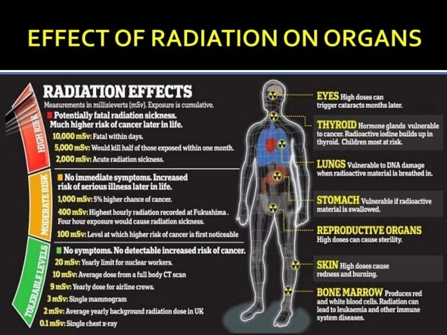 Basic Biological effects of Radiation | PPT