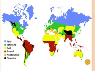 climate and its types | PDF