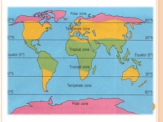 climate and its types | PDF