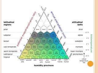 climate and its types | PDF