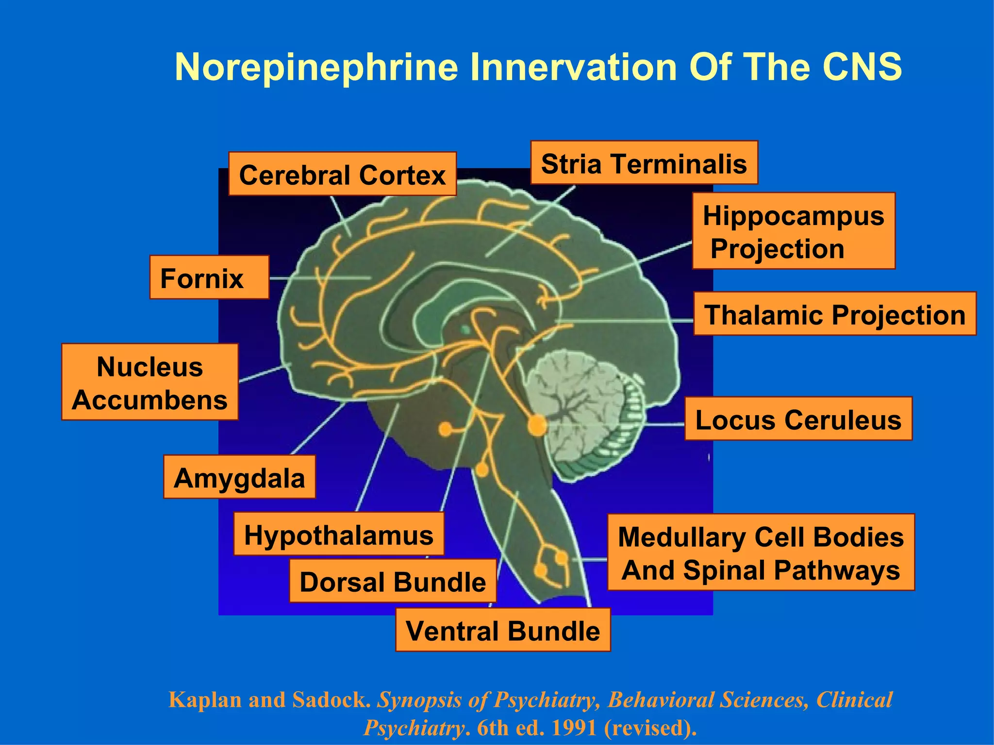 Dr. Shakir's CTF Presentation - Depression Treatment | PPT | Physical Therapy | Wellness