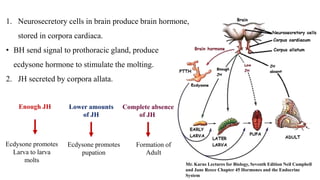 Ecdysone Receptor Agonists | PPTX