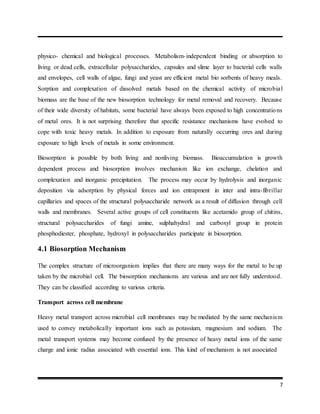 BIOSORPTION OF HEAVY METALS | DOCX