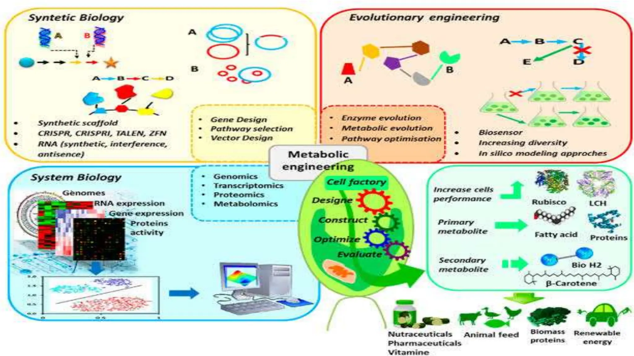 Microarray Technology History Types And Principle Pptx Genetics