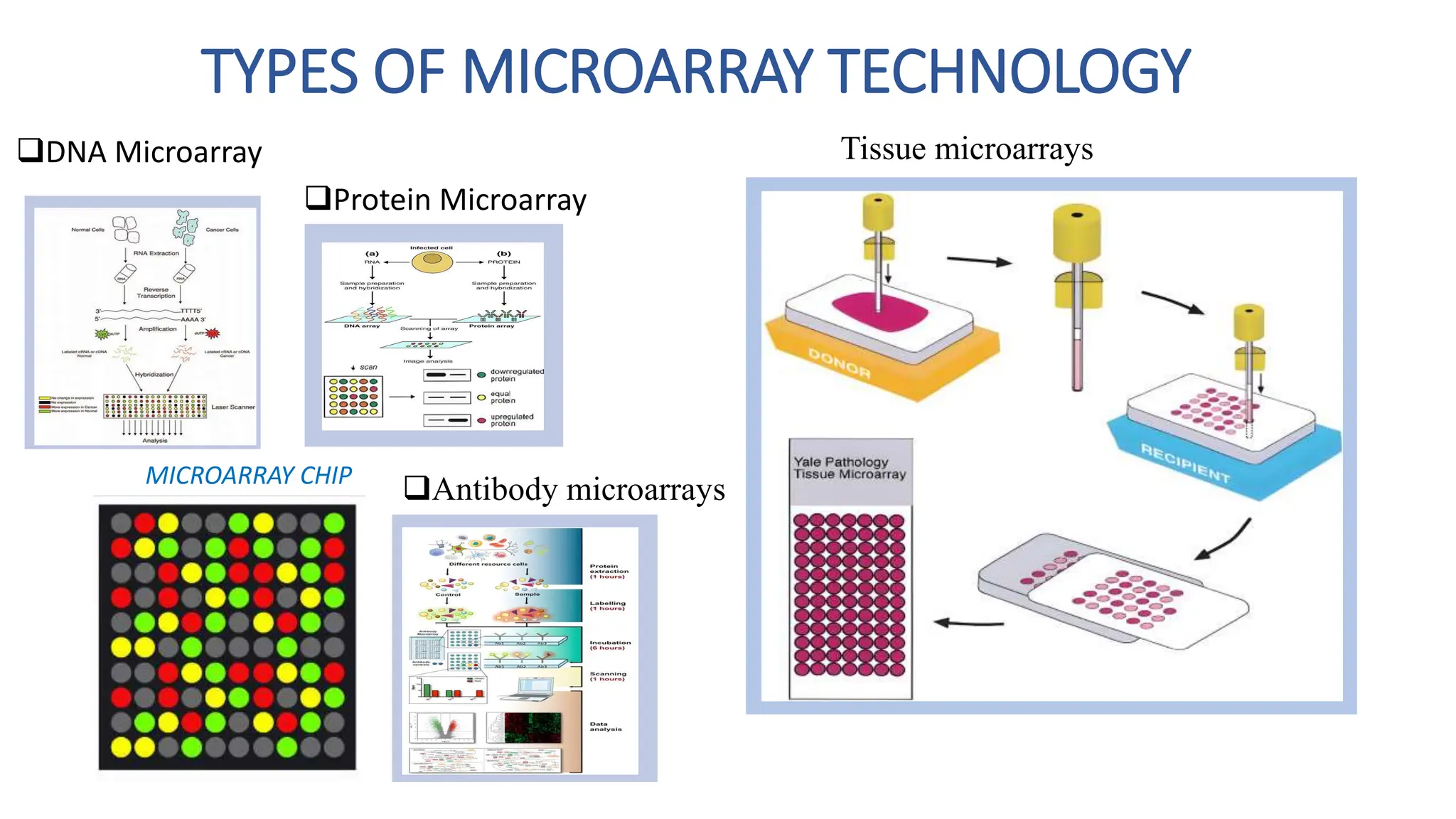 MicroArray technology; history, Types and principle | PPTX