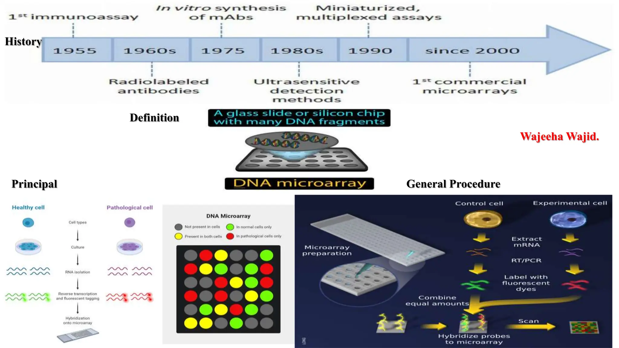 Microarray Technology History Types And Principle Ppt