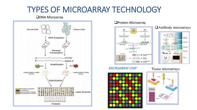 MicroArray technology; history, Types and principle | PPTX | Genetics ...