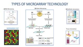 MicroArray technology; history, Types and principle | PPTX