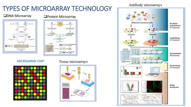 MicroArray technology; history, Types and principle | PPTX | Genetics ...
