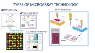 MicroArray technology; history, Types and principle | PPTX | Genetics ...