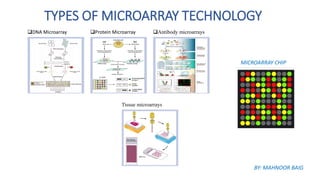 MicroArray technology; history, Types and principle | PPTX | Genetics ...