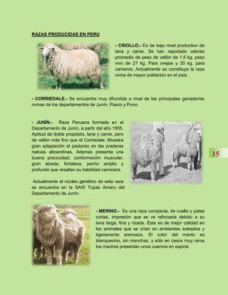 Original ovino criollo.. | DOCX