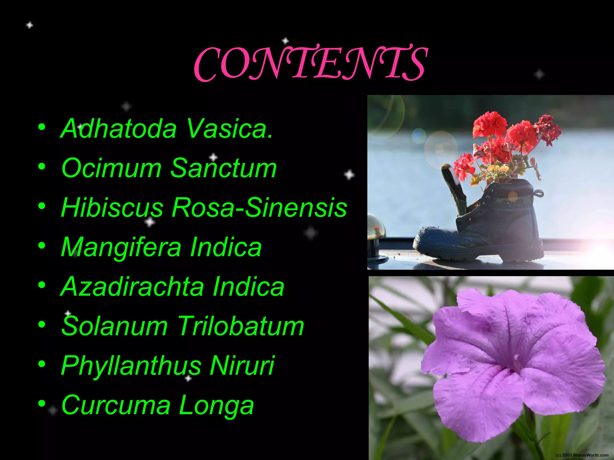 medicinal plants & their uses | PPT