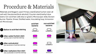 Original presentation Acid-Fast Stain.pdf
