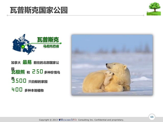 Original purity national parks of canada report-cn | PPT