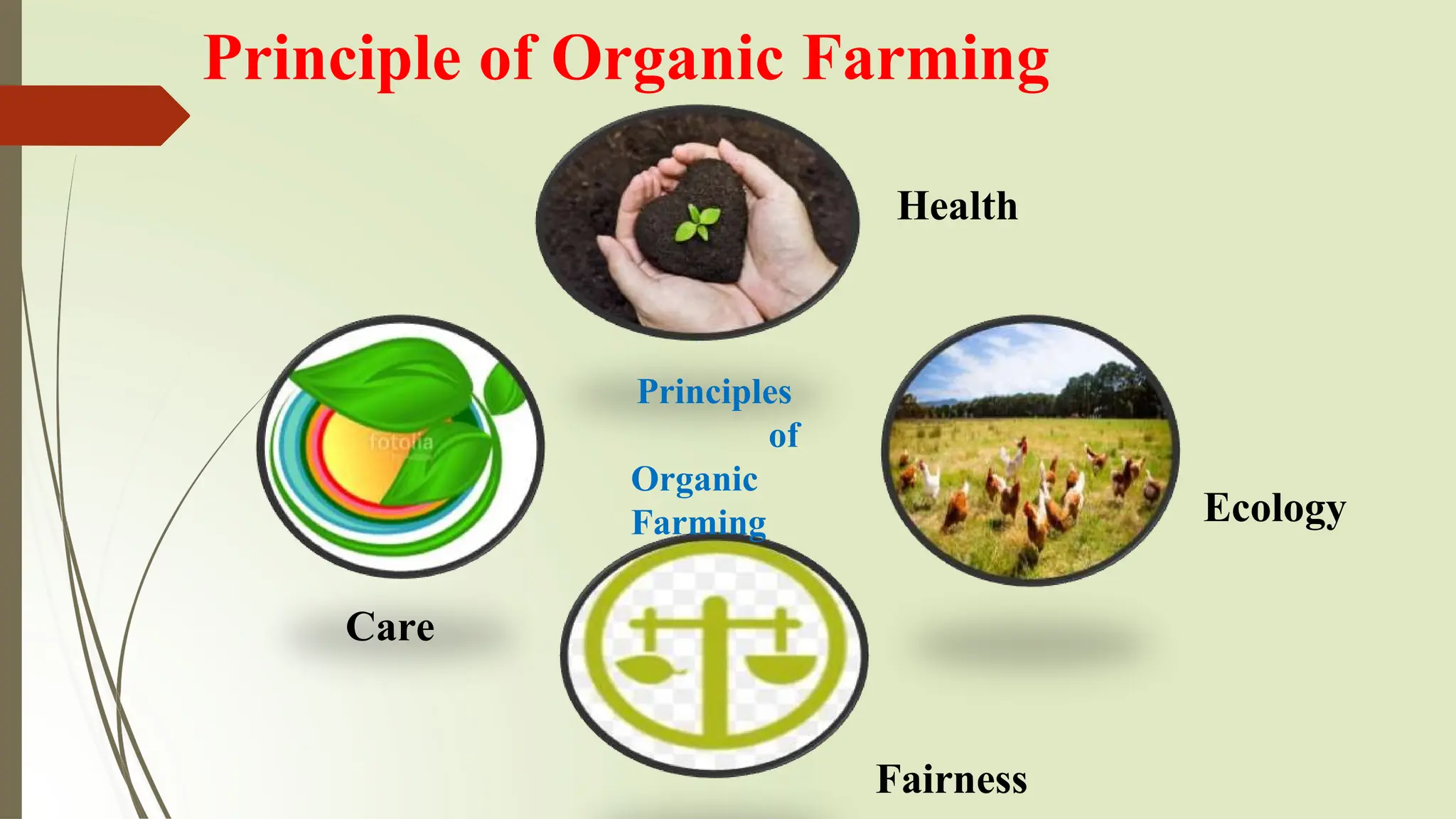 Original organic farming in ddu ppt -3.pptx