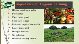 Original organic farming in ddu ppt -3.pptx