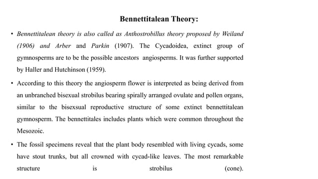 Origin and bennettitalean theory | PPTX | Gardening | Home & Garden