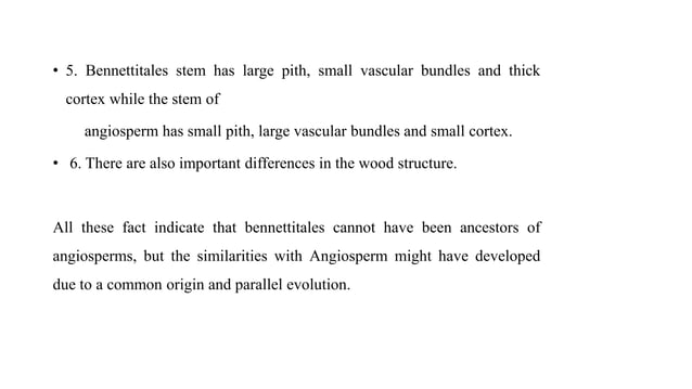 Origin and bennettitalean theory | PPTX | Gardening | Home & Garden