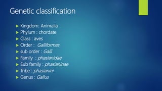 Origin and classification of poultry | PPTX