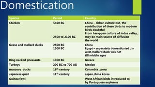 Origin and classification of poultry | PPTX