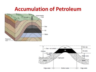 Origin and Composition of Crude Oil.pdf