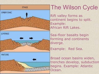 Origin and destruction of ocean floor ppt ; ocean floor :evolution of ...