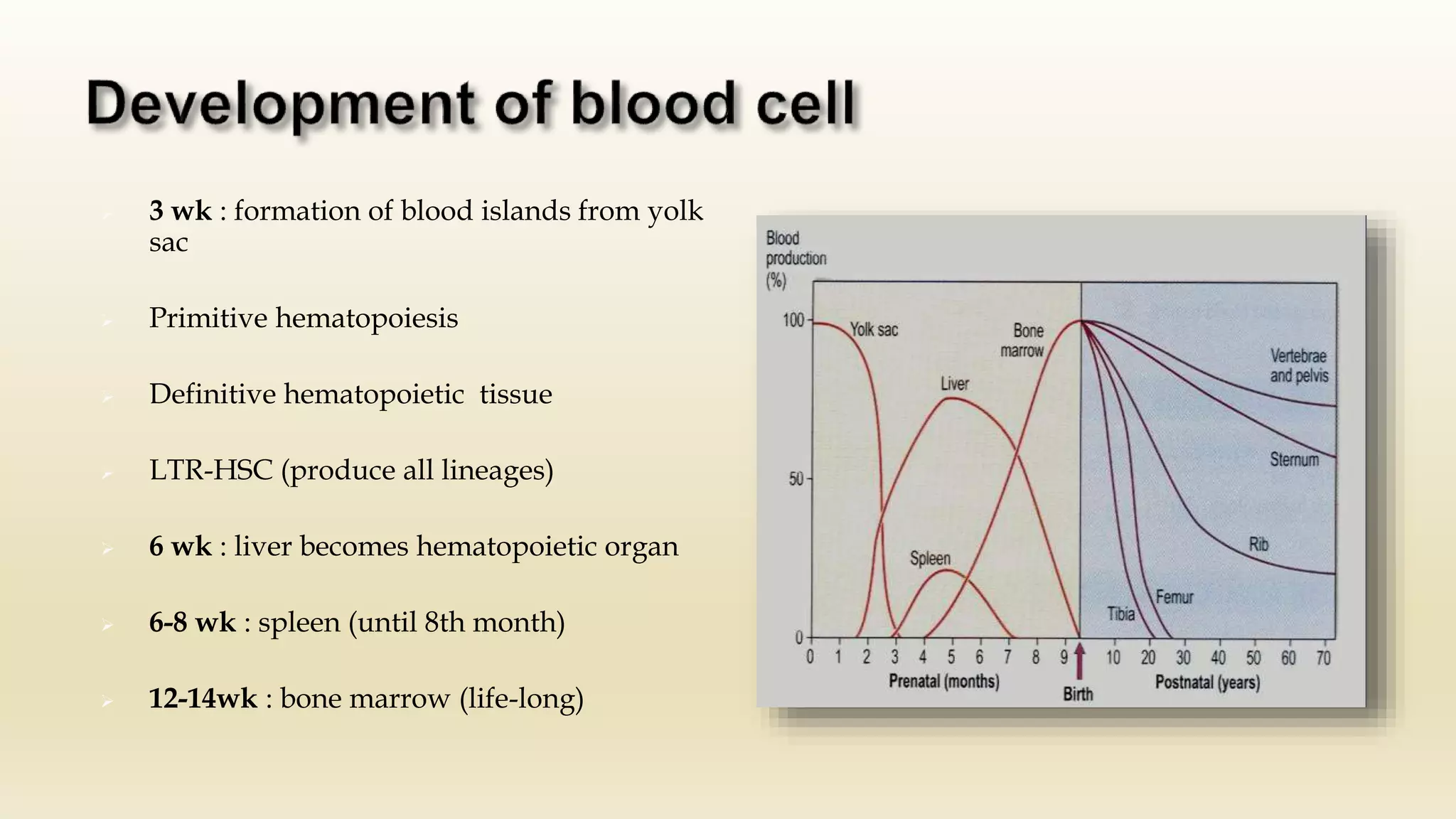Hematopoiesis: Origin and development of blood cells | PPTX