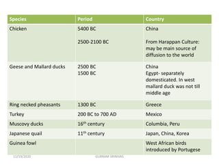 Origin and domestcation of poultry | PPTX