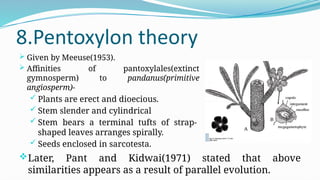 ORIGIN AND EVOLUTION OF ANGIOSPERMS'.pptx