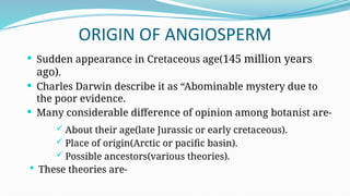 ORIGIN AND EVOLUTION OF ANGIOSPERMS'.pptx