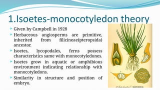 ORIGIN AND EVOLUTION OF ANGIOSPERMS'.pptx