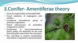ORIGIN AND EVOLUTION OF ANGIOSPERMS'.pptx