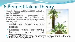 ORIGIN AND EVOLUTION OF ANGIOSPERMS'.pptx