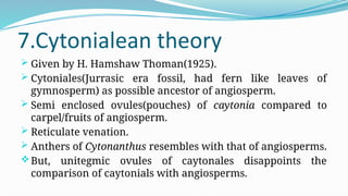 ORIGIN AND EVOLUTION OF ANGIOSPERMS'.pptx