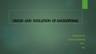 Origin and evolution of angiosperms | PPTX