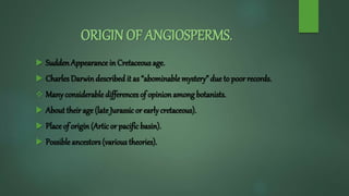 Origin and evolution of angiosperms | PPTX