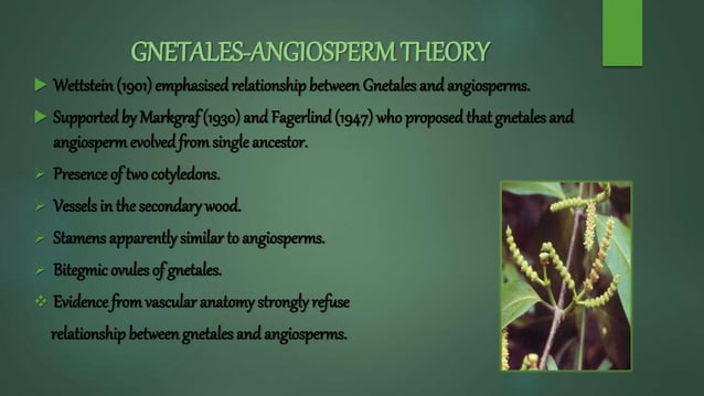 Origin and evolution of angiosperms | PPTX