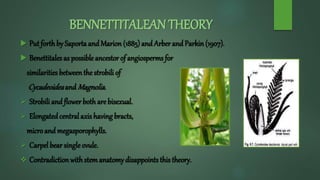 Origin and evolution of angiosperms | PPTX
