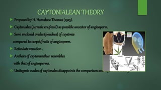 Origin and evolution of angiosperms | PPTX